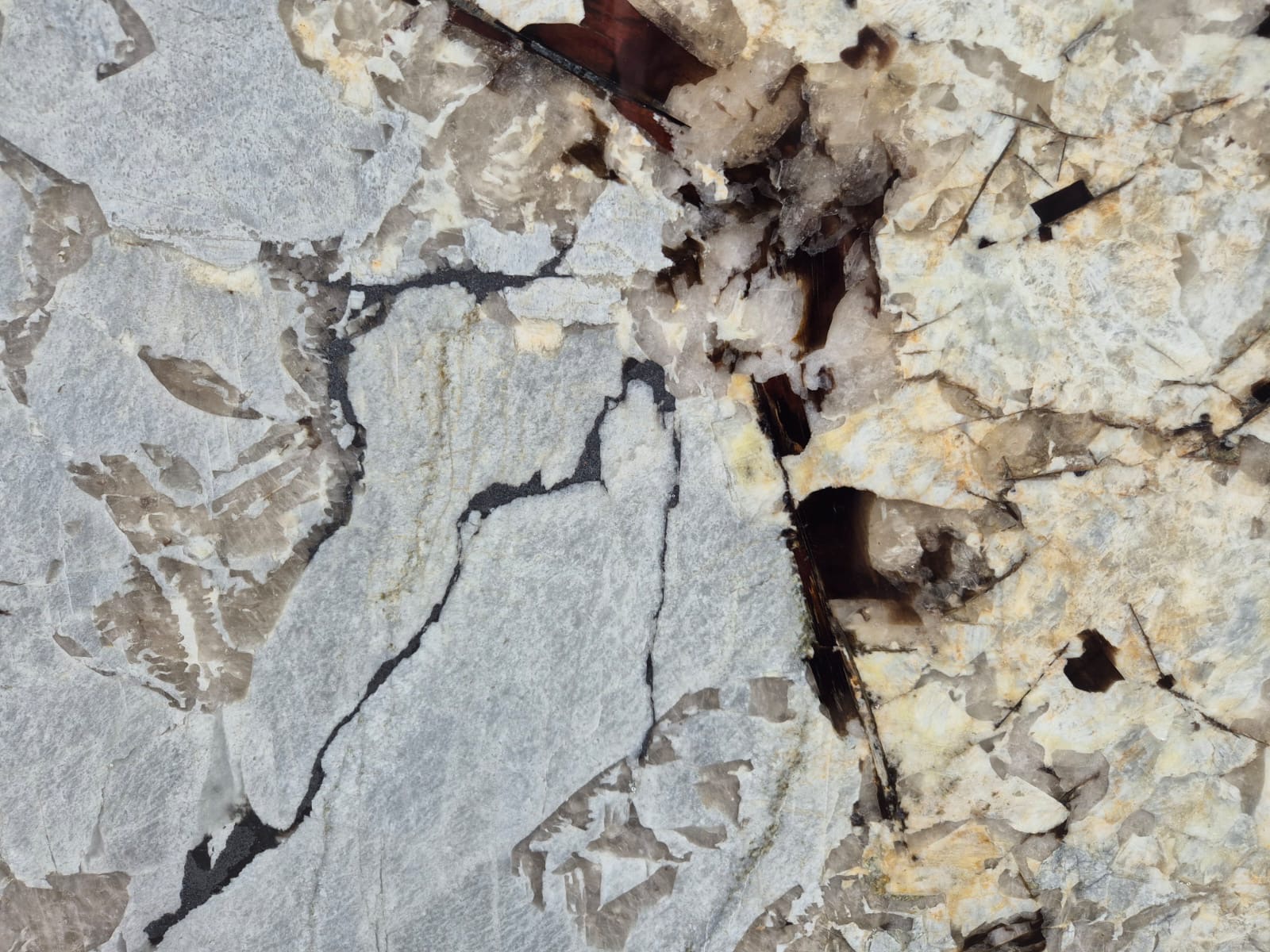 Patagonia BL10016 – Finestone