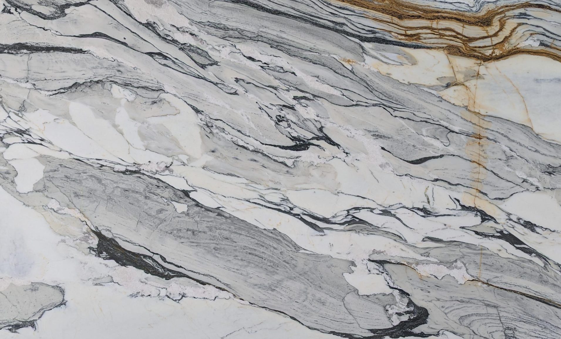 Calacatta Picasso BL81 – Finestone