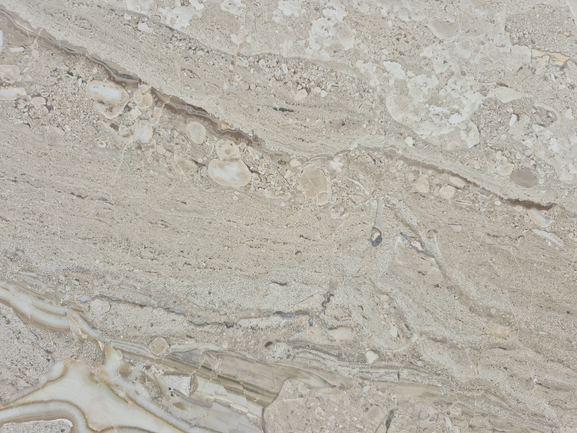 Daino Reale Honed BL15062 – Finestone