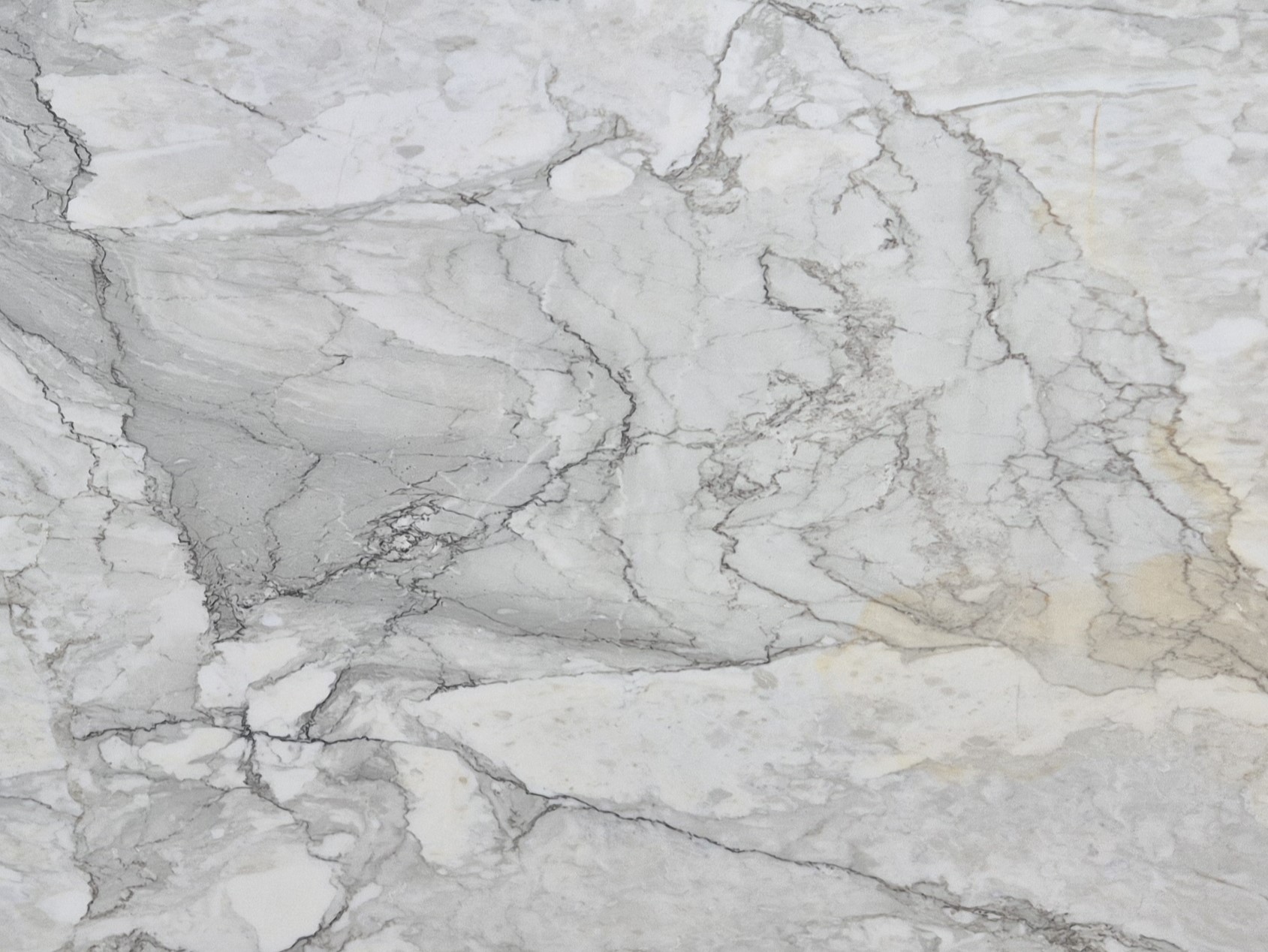 Calacatta Picasso BL81 – Finestone
