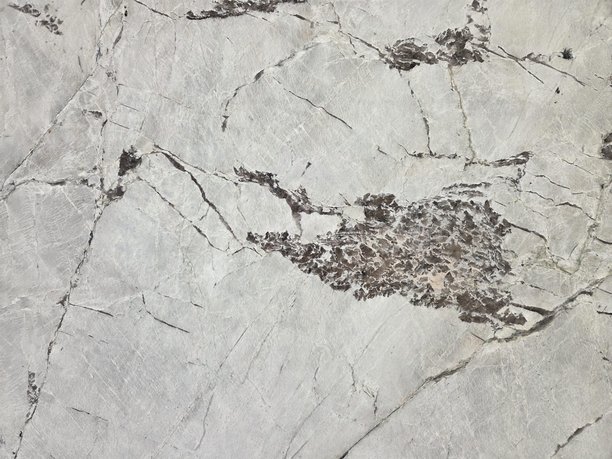 Opus White Polished BL20828 – Finestone